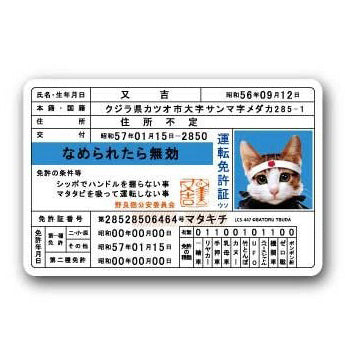 Nameneko Japanese Drivers License Sticker